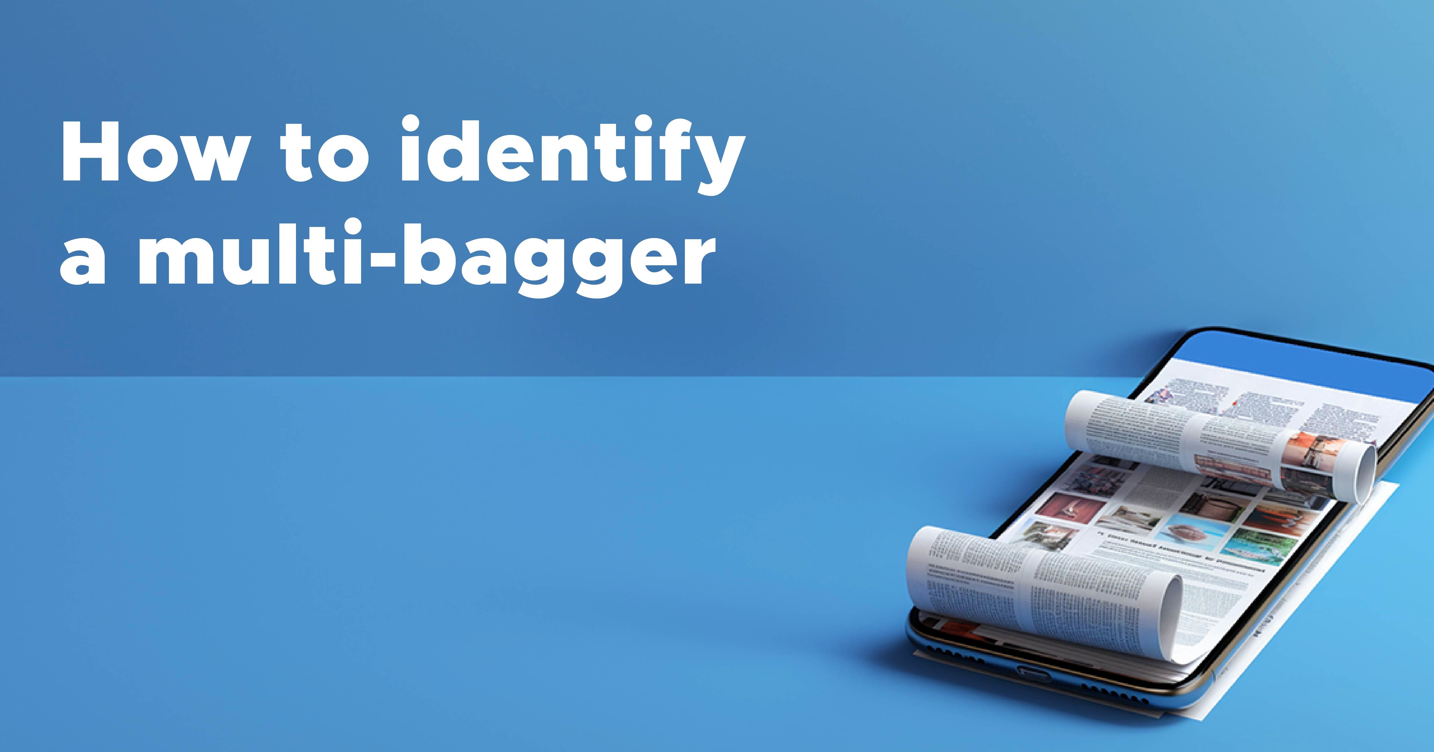 Weekly Buzz: 🚀 How to identify a multi-bagger | StashAway Thailand