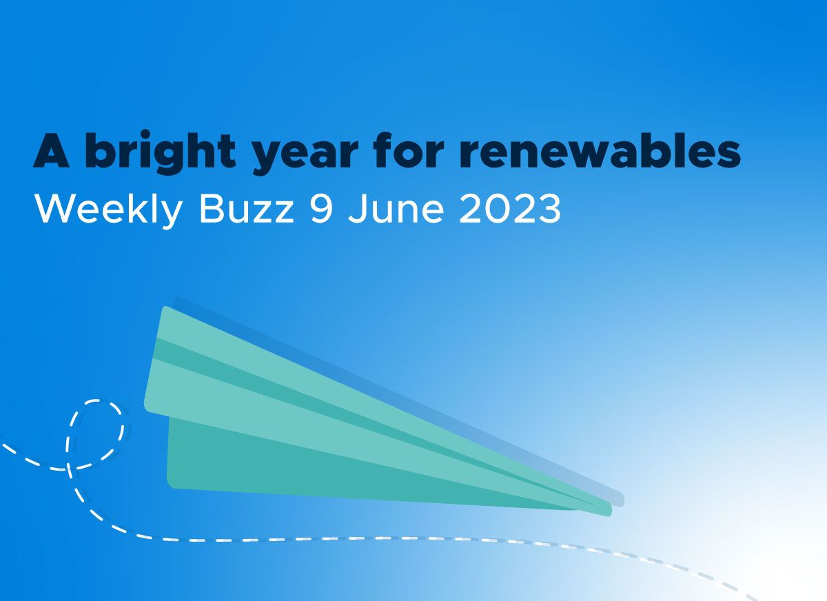 Weekly Buzz: A bright year for renewables | StashAway Thailand
