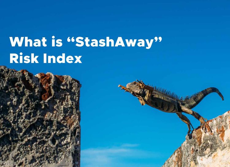 What is the StashAway Risk Index, or SRI?